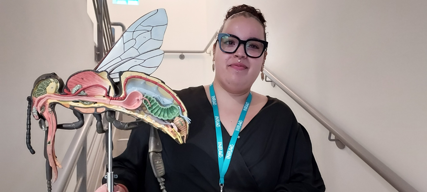 INRAE - Avignon : Inauguration du nouveau bâtiment 'Abeilles' dédié à ...