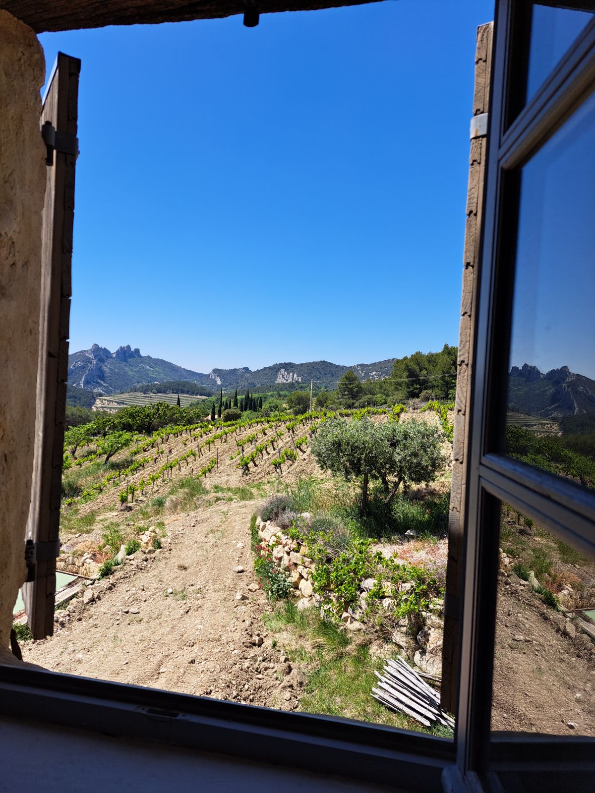 Domaine 'Demoiselle Suzette', le paradis sur terre pour son viticulteur ...